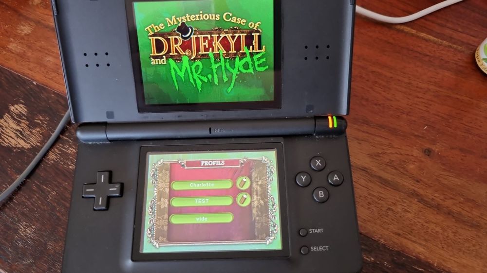 2 consoles 2 DS Lite | Kaufen auf Ricardo