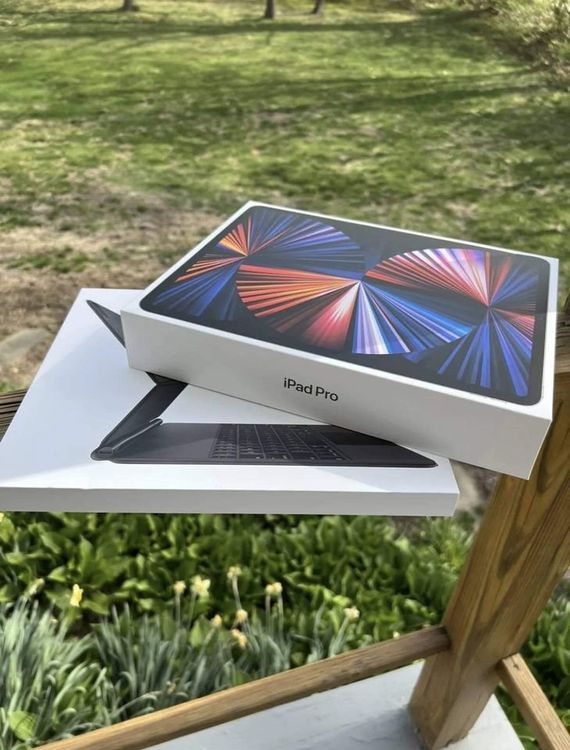 Apple iPad Pro 5e génération 512 Go, Wifi+5G, 12,9" (Gebraucht) in ...