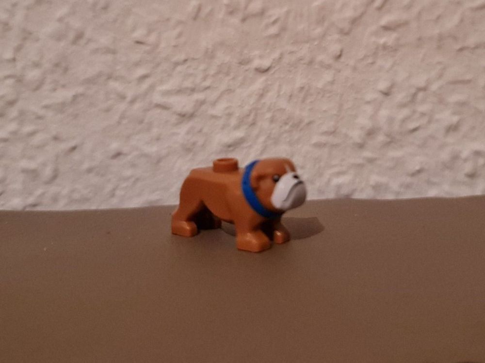 Lego City Labrador Hund Tier animal NEU | Kaufen auf Ricardo
