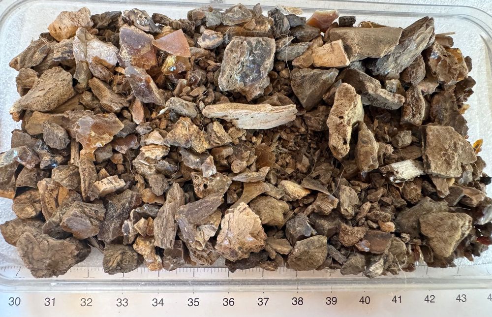 Bernstein Amber winzig kleine Brocken + Sand Sumatra (Neu und ...