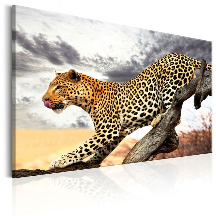 XXL Wandbild Leopard Afrika Natur NEU (Neu und originalverpackt) in Bern für CHF 99 – mit ...