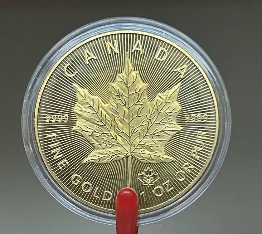 Canadian Maple Leaf - REPLICA (Gebraucht) in Alchenflüh für CHF 1 – mit ...