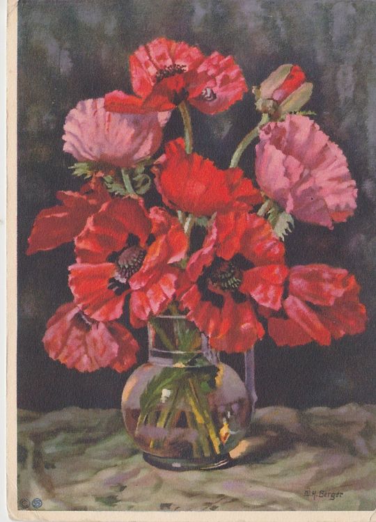 Mohnblumen | Kaufen auf Ricardo