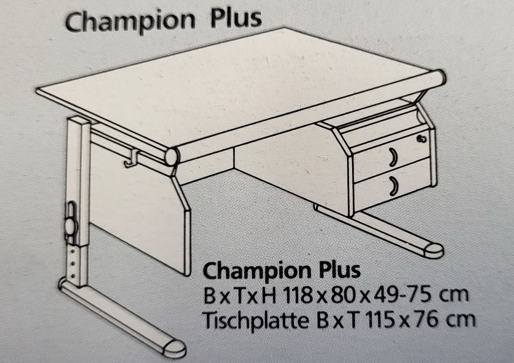 Der Wachstums Champion Unter Den Schreibtischen Warum Ein Hohenverstellbarer Kinder Schreibtisch Unverzichtbar Istfeed