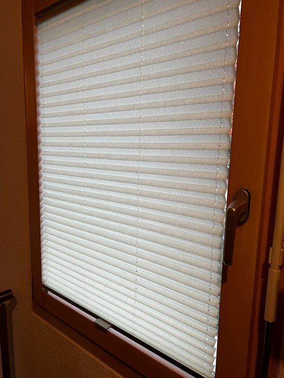 Plissee new shades Pastell Grün 712 x 977mm Storen Fenster (Neu und originalverpackt) in ...