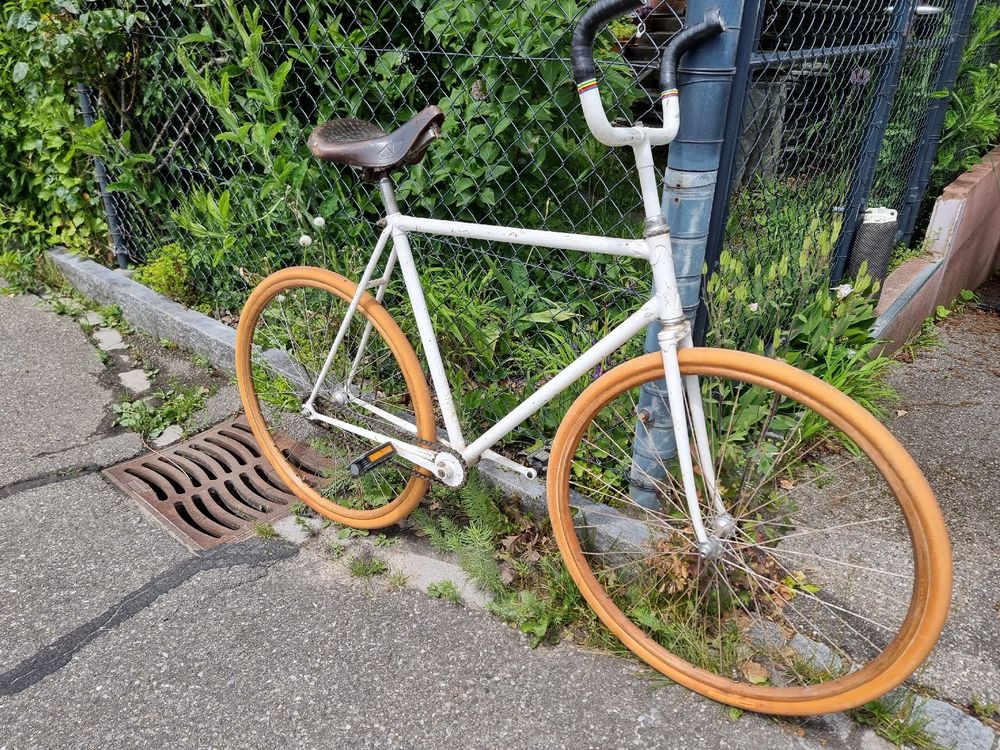 Radball Velo / Kunstrad, Zustellung PER POST möglich (Gebraucht) in ...