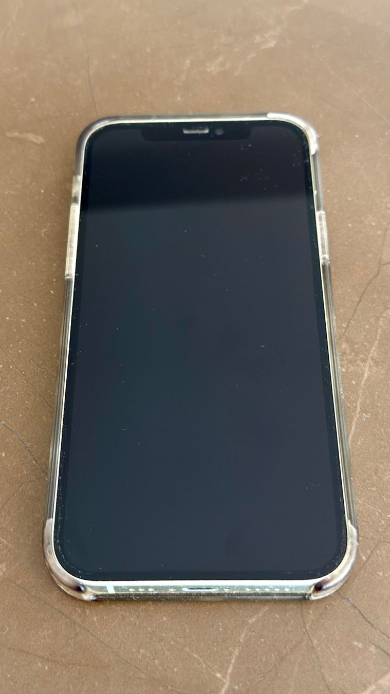 iPhone 12 64GB Green Top Zustand MagSafe Hülle Garantie: 3Mt (Gebraucht ...