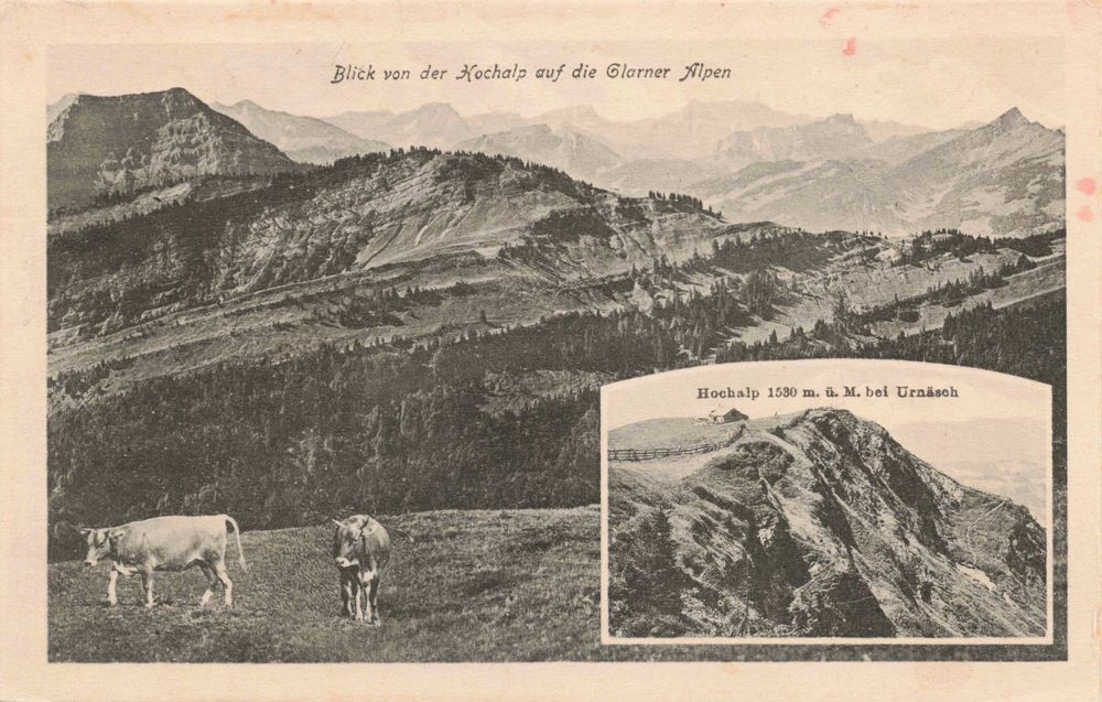 Blick von der Kochalp Glarner Alpen Kühe (Gebraucht) in Biasca für CHF 5 – mit Lieferung auf ...