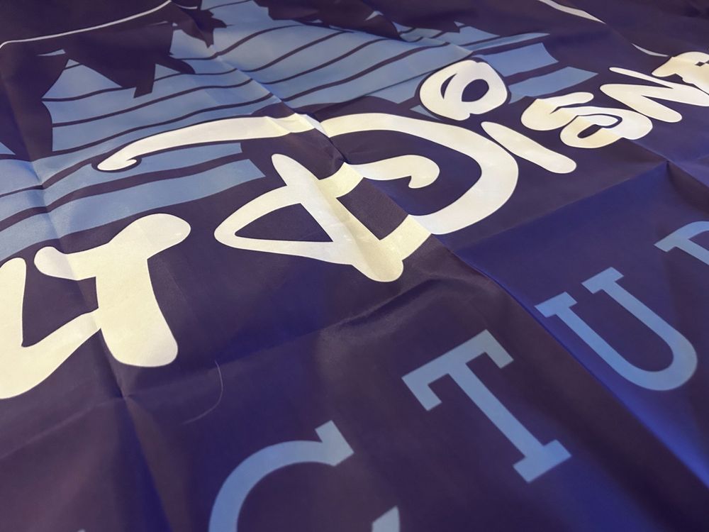 Walt Disney Fahne Mickey Mouse Eiskönigin Tarzan König Löwen (Neu und ...