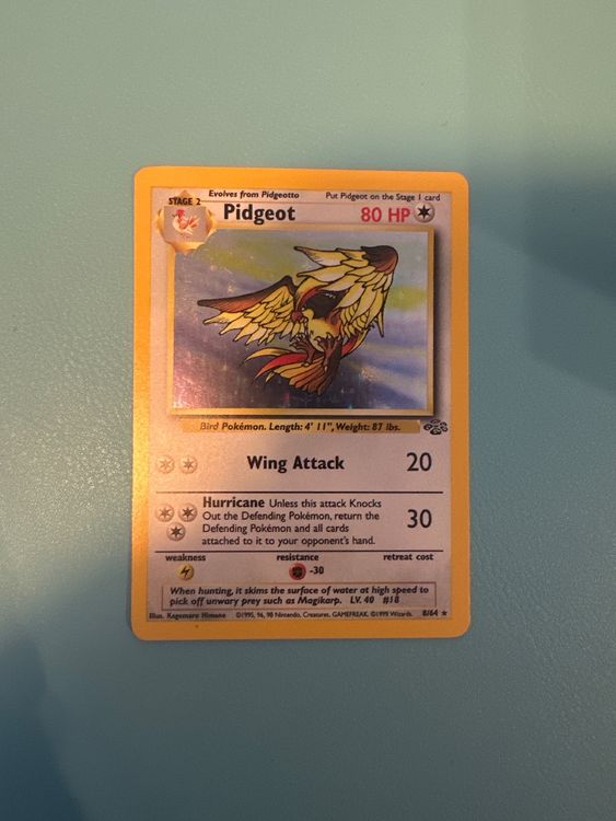 Pokemon Pidgeot Holo Jungle Set Vintage Rare Mega schön 1999 (Gebraucht ...