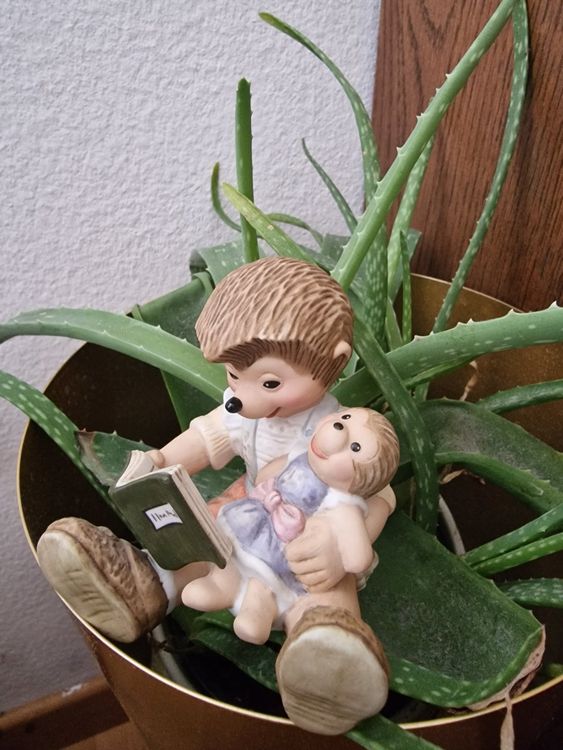 Mecki Goebel (Gebraucht) in Wittenbach für CHF 13 – mit Lieferung auf ...