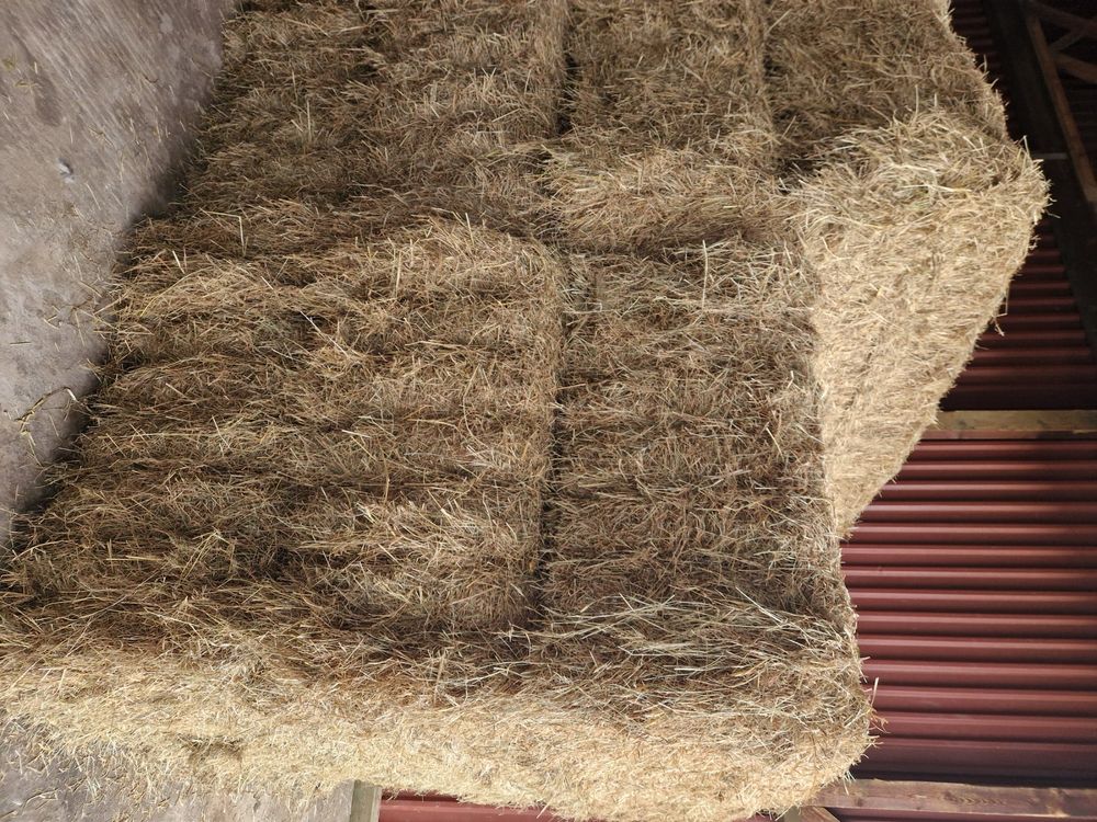 Heu (Gebraucht) in Zeihen für CHF 1140 – nur Abholung auf Ricardo kaufen