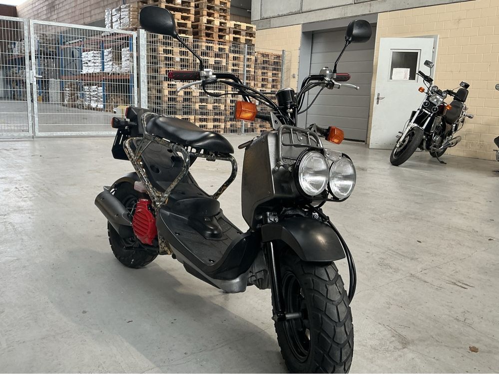 Honda NPS50 Zoomer (Gebraucht) in strengelbach für CHF 1850 – nur ...