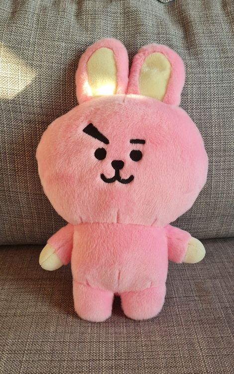 BT21 Cooky Plüschtier (K-POP Merch) | Acheter sur Ricardo