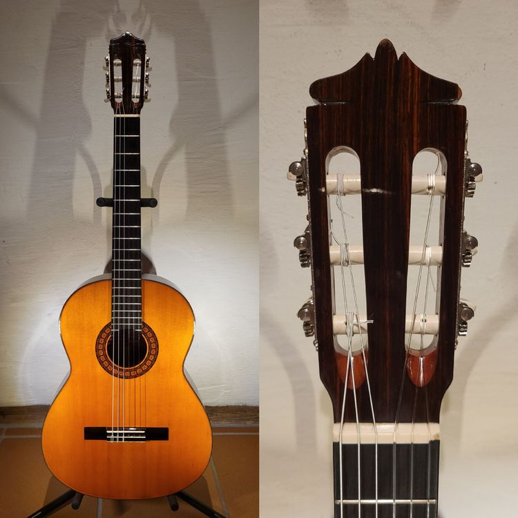 Akustik Gitarre Kasuga G-312 (Gebraucht) in Winterthur für CHF 280 – mit Lieferung auf Ricardo ...