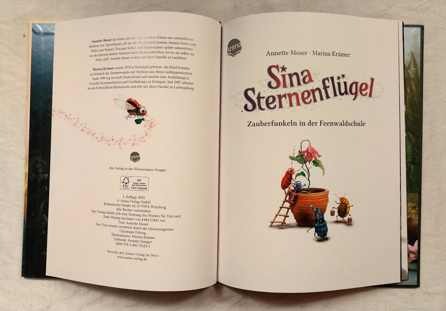 Die kleine Fee Sina Sternenflügel / Bilderbuch 2025 (Neu (gemäss ...