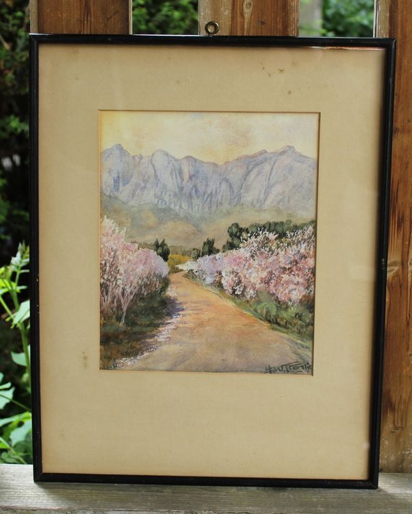 Henry Trollip 1858-1933 Aquarell Blühende Bäume Banhoek Tal (Gebraucht ...
