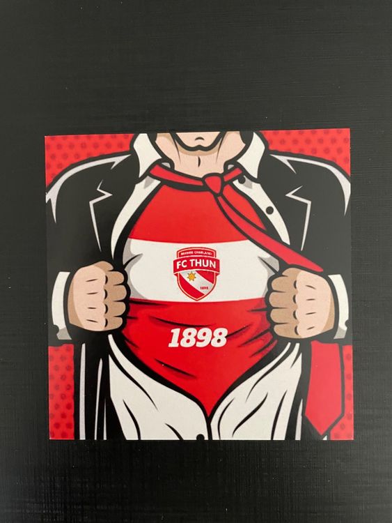 100 Stickers (Aufkleber) FC Thun | Kaufen auf Ricardo