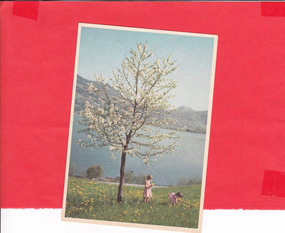 PRO INFIRMIS: H.Schellenberg---Am Lowerzersee | Kaufen auf Ricardo