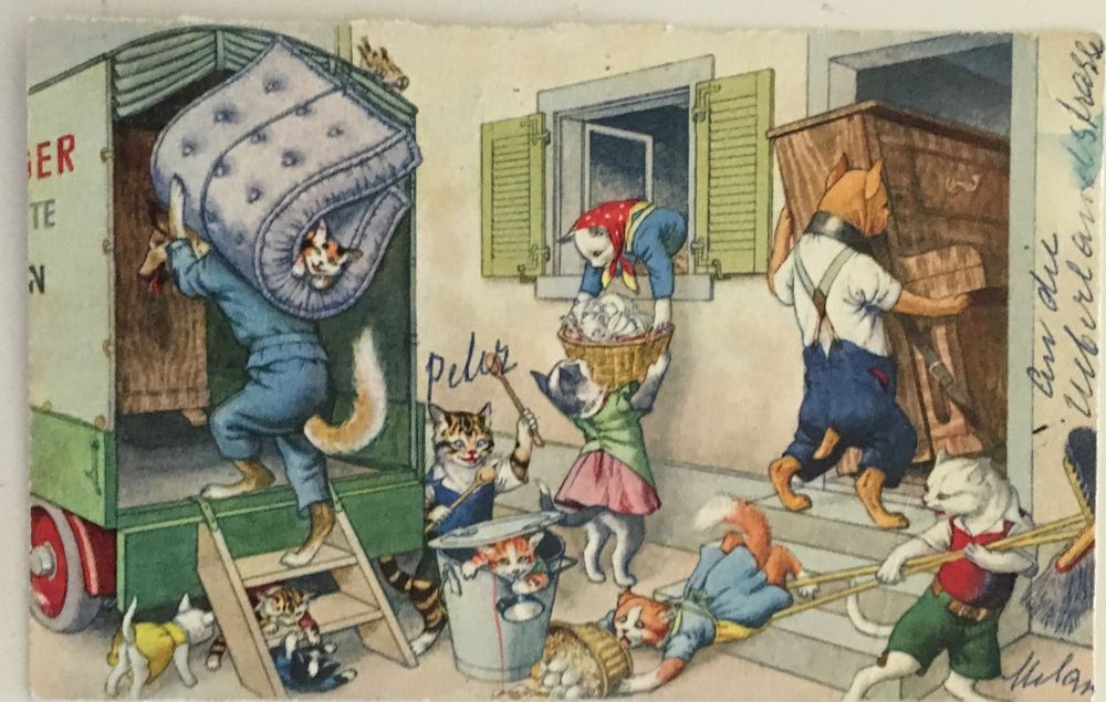 Max Künzli, vermenschlichte Katzen, Zügeln, Humor (Gebraucht) in ...