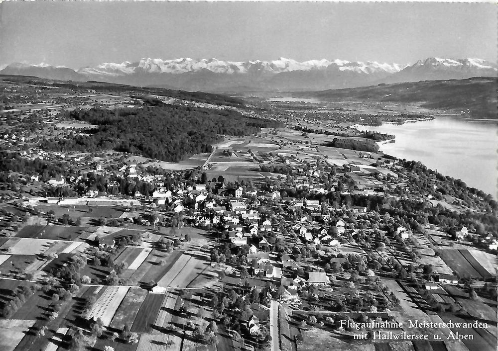 Meisterschwanden AG Flugaufnahme Nr.7326 , 1950 (Gebraucht) in Solothurn für CHF 13 – mit ...