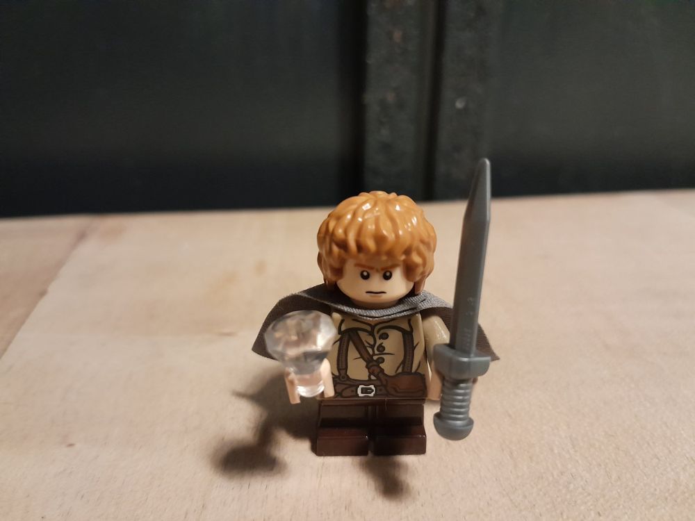 Lego Herr der Ringe Lord of the Rings Hobbit Samwise Gamgee | Kaufen ...