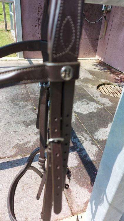 Zaum von Horse | Kaufen auf Ricardo