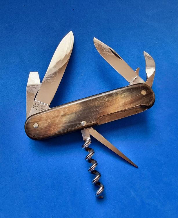 Victorinox Victoria Messer Armée Suisse mit Hornschalen 83mm (Gebraucht ...
