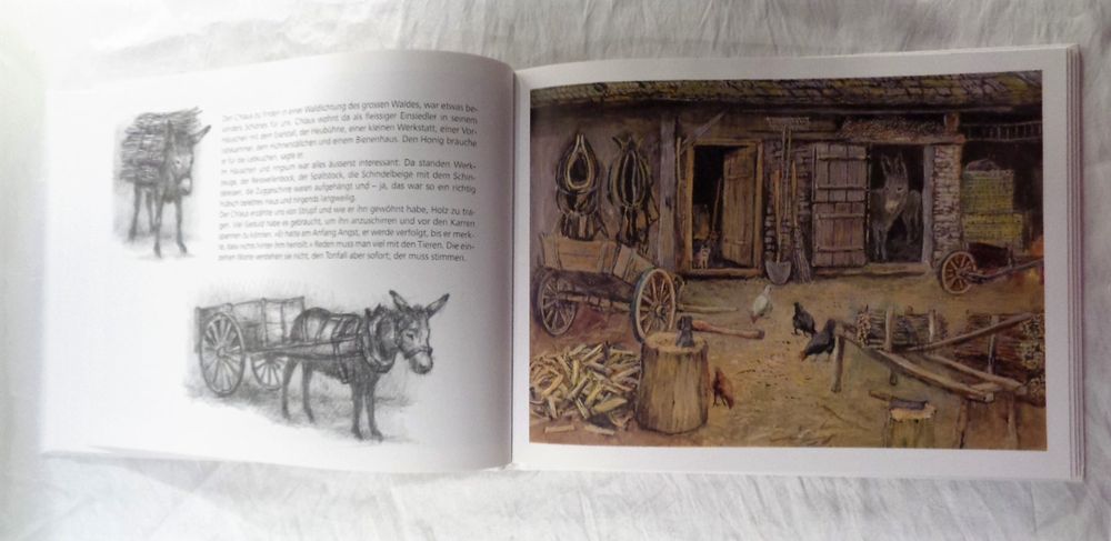 Strupf wird Samichlaus - Esel / Peter Bergmann / Bilderbuch (Gebraucht ...