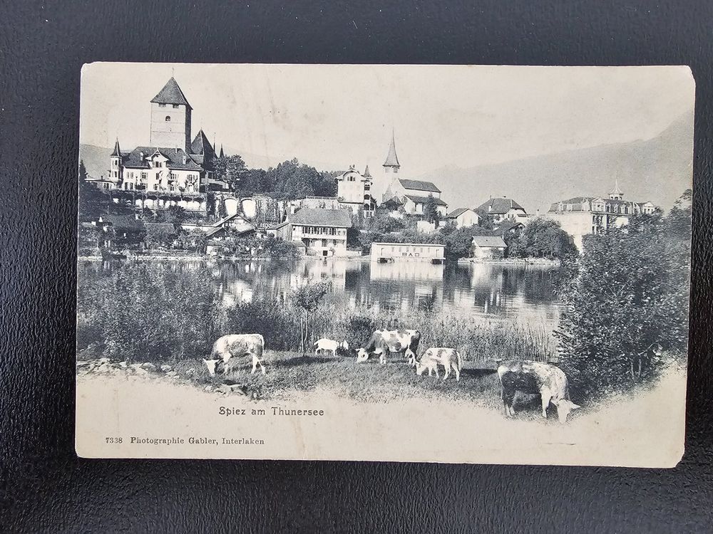 PK Postkarte Spiez an Thunersee. (Gebraucht) in Dallenwil für CHF 5 – mit Lieferung auf Ricardo ...