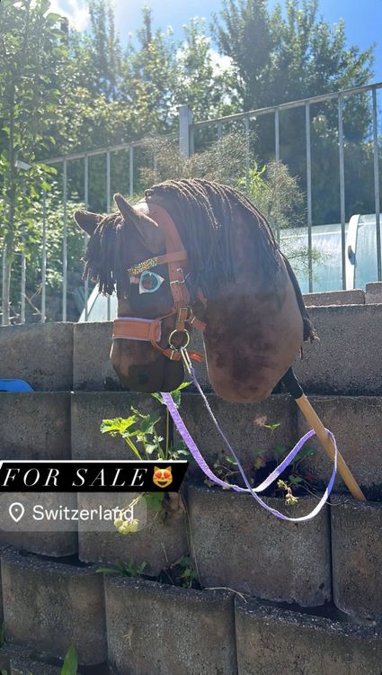 Hobby horse (Neu (gemäss Beschreibung)) in Busswil TG für CHF 205 – mit Lieferung auf Ricardo kaufen