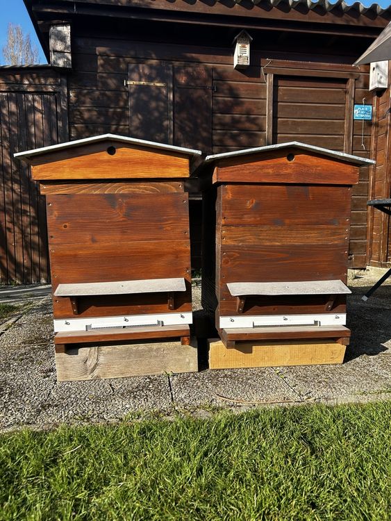 Ruches Dadant Blatt (Neu und originalverpackt) in Echallens für CHF 420 ...