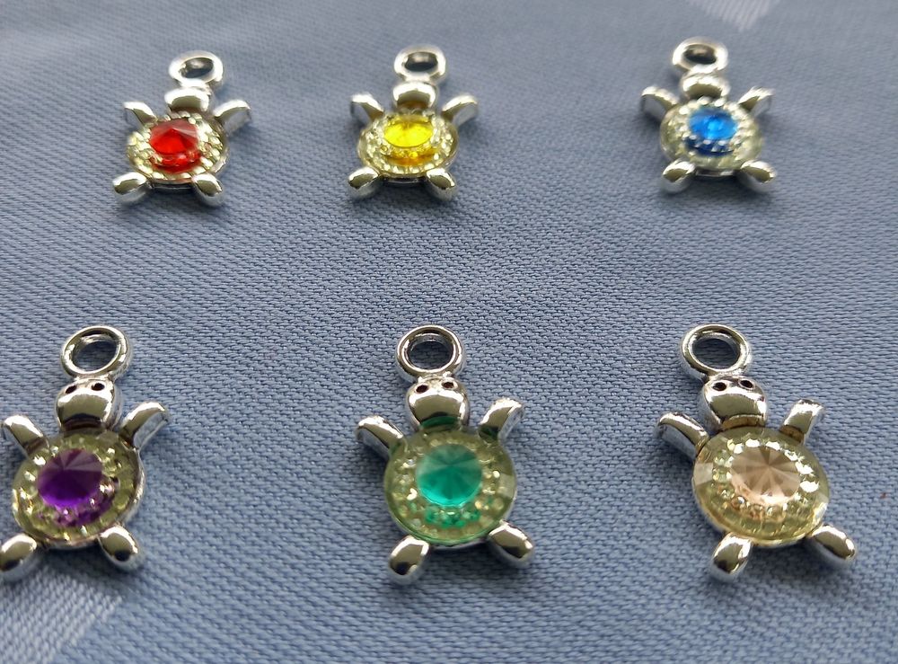 6 Stk.Schildkröte Anhänger | Kaufen auf Ricardo