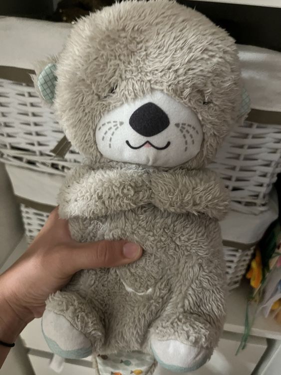 Schlummer Otter grau mit Spieluhr, super Zustand! (Neu (gemäss ...