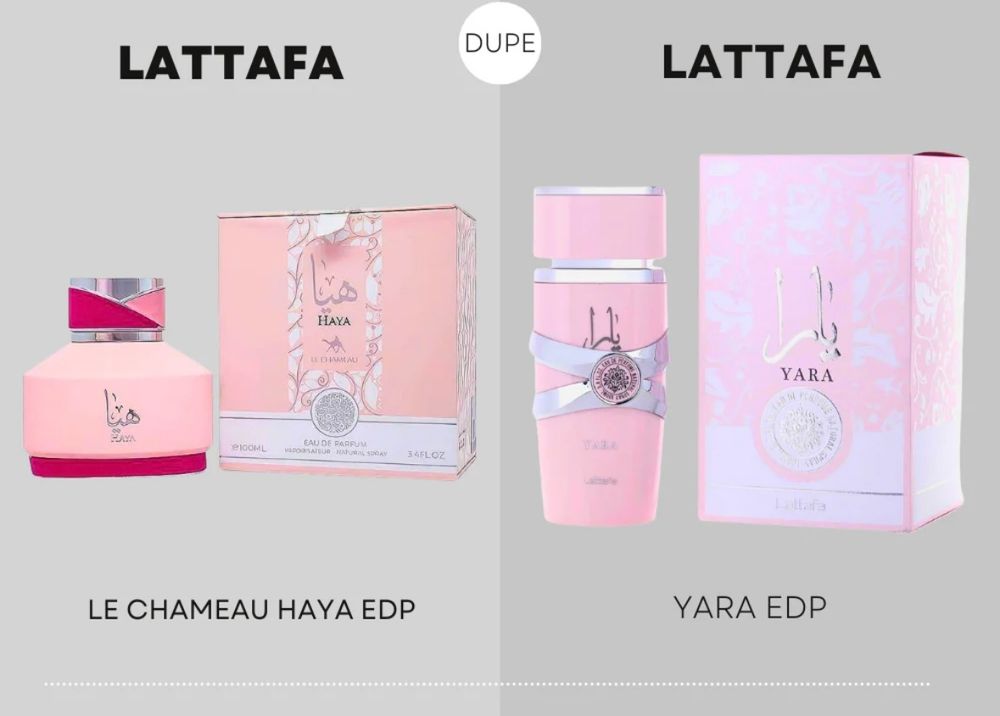 LE CHAMEAU HAYA EDP 2ml. Sample (Lattafa Yara Dupe) (Neu und ...