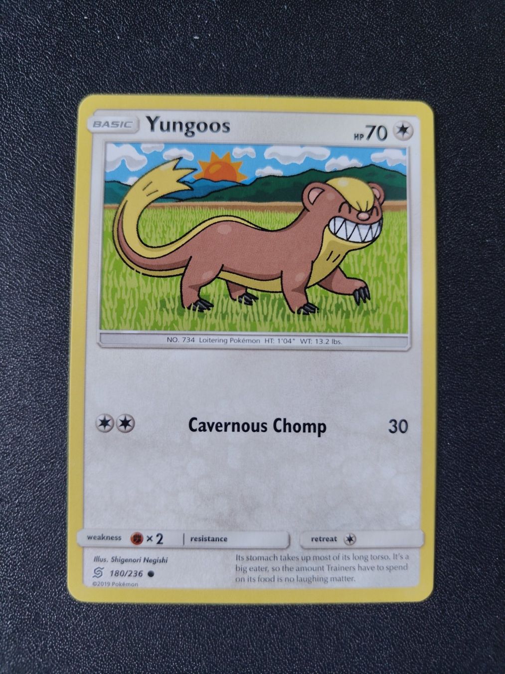 Yungoos 180/236 Pokémon SM Unified Minds 2019 (EN) ab 1.- (Gebraucht ...
