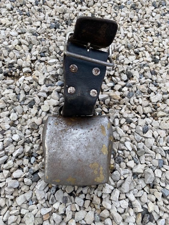 Cloche à vaches | Kaufen auf Ricardo