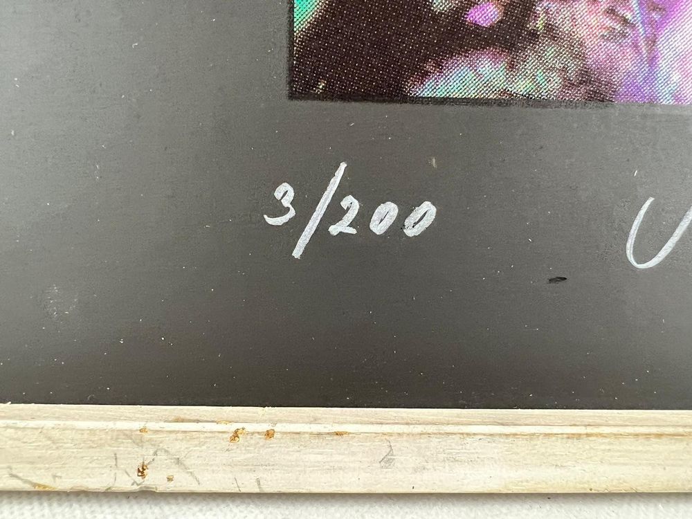 KÜNSTLER ? GRAFIK SIGNIERT NUMMERIERT (Gebraucht) in Gersau für CHF 29 – mit Lieferung auf ...