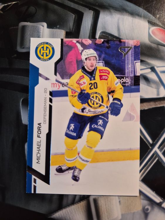 Michael Fora HC Davos 2024/25 Sportzoo (Gebraucht) in Treiten für CHF 1 ...