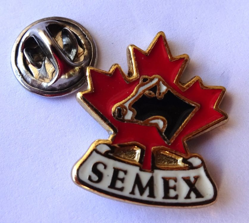 Pin Kuh Kopf SEMEX Canada Zuchtkuh (Gebraucht) in Utzenstorf für CHF 2 ...