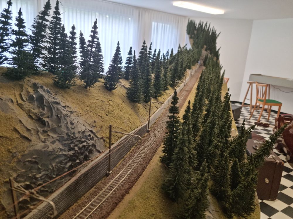 Bemo H0m Modul Diorama (Gebraucht) in Ried (Muotathal) für CHF 105 ...