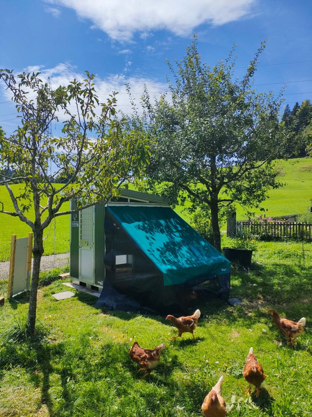 Huhnerstall Fur 20 Huhner Kaufennull