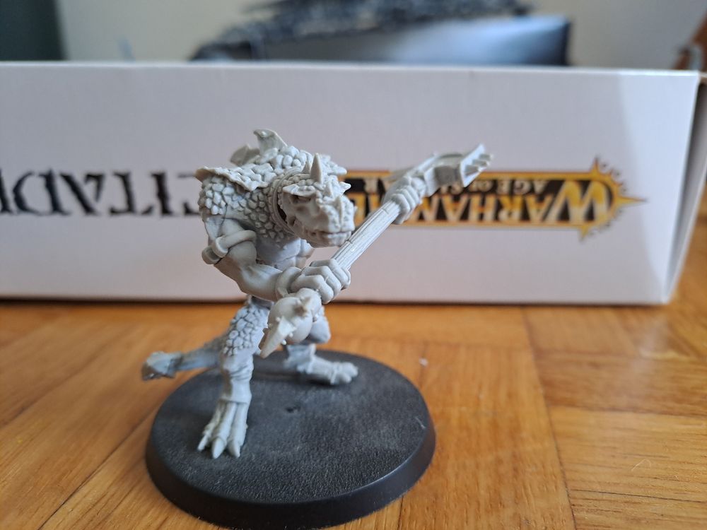 Warhammer Fantasy/Age Of Sigmar, Seraphim Finecast Kroxigor | Kaufen ...