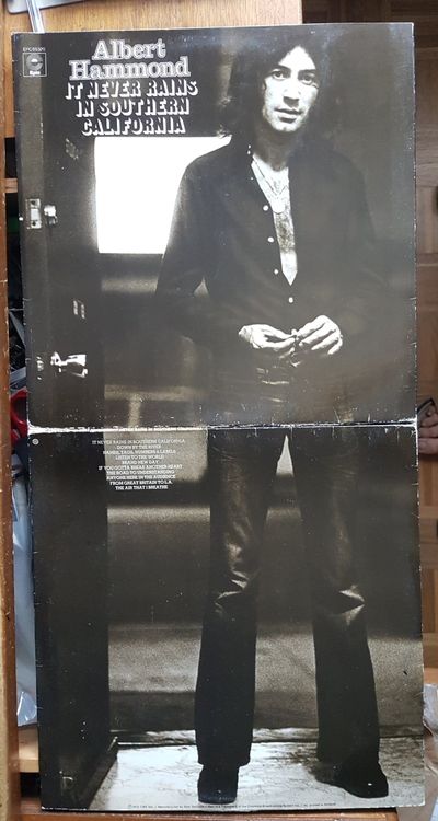 Albert Hammond It Never Rains In Southern California (Gebraucht) in ...