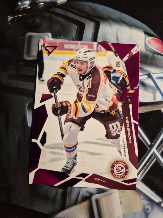 Matthew Verboon HC Geneve Servette 2025/26 Sportzoo Pink (Gebraucht) in ...