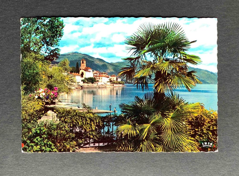 AK Brissago Lago Maggiore Cartolina Postale IRIS (Gebraucht) in Goldau für CHF 3 – mit Lieferung ...
