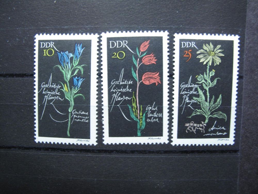 DDR 1966 Geschützte Pflanzen I ** | Kaufen auf Ricardo