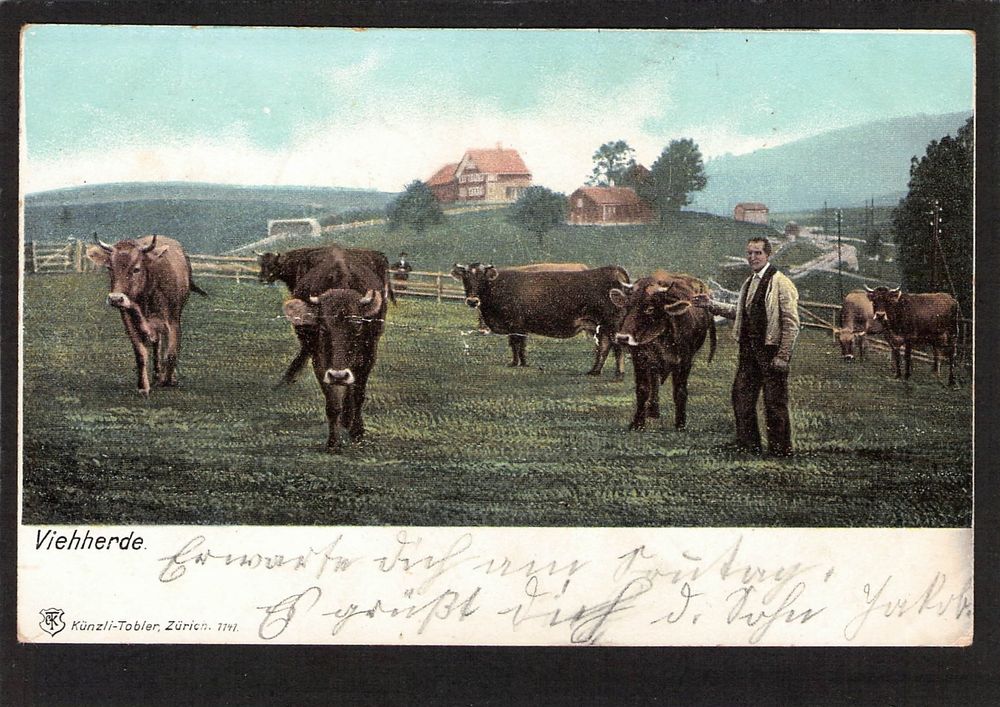#Landwirtschaft , Appenzell Vieherde , gel. 1906 (Gebraucht) in Reichenburg für CHF 12 – mit ...
