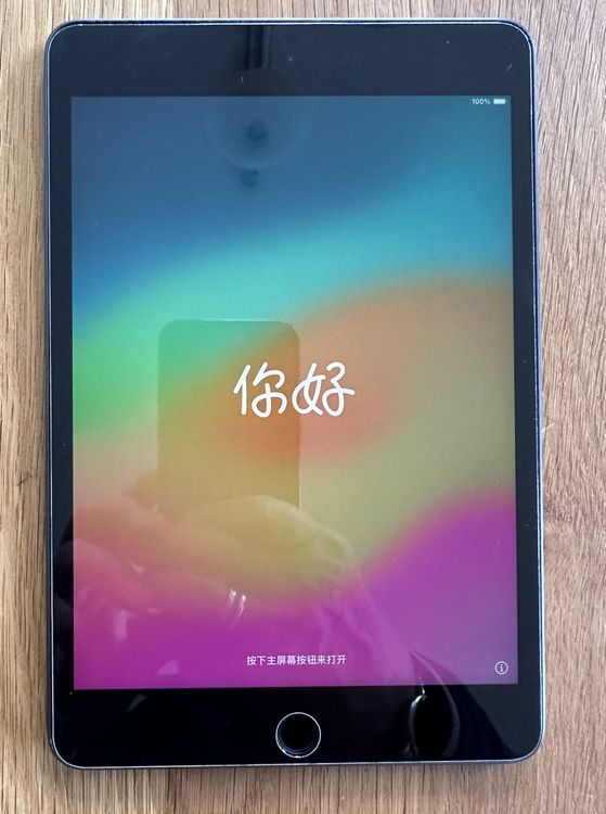 iPad mini 5th. Gen 256 GB WiFi in neuwertigem Zustand | Kaufen auf Ricardo