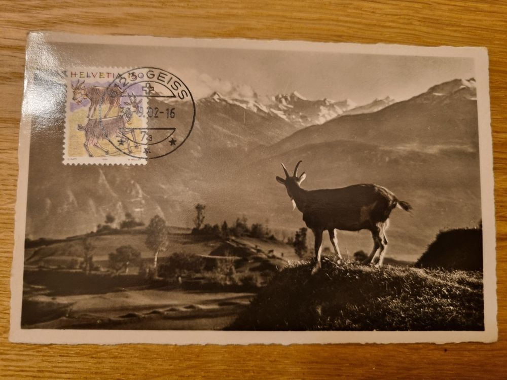 2002 Maximumkarte Ziege Stempel Geiss (Gebraucht) in Arni AG für CHF 5 – mit Lieferung auf ...